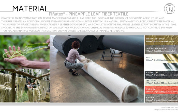 Piñatex Innovative Natural Textile Pineapple Leaf Fibre Automotive Color