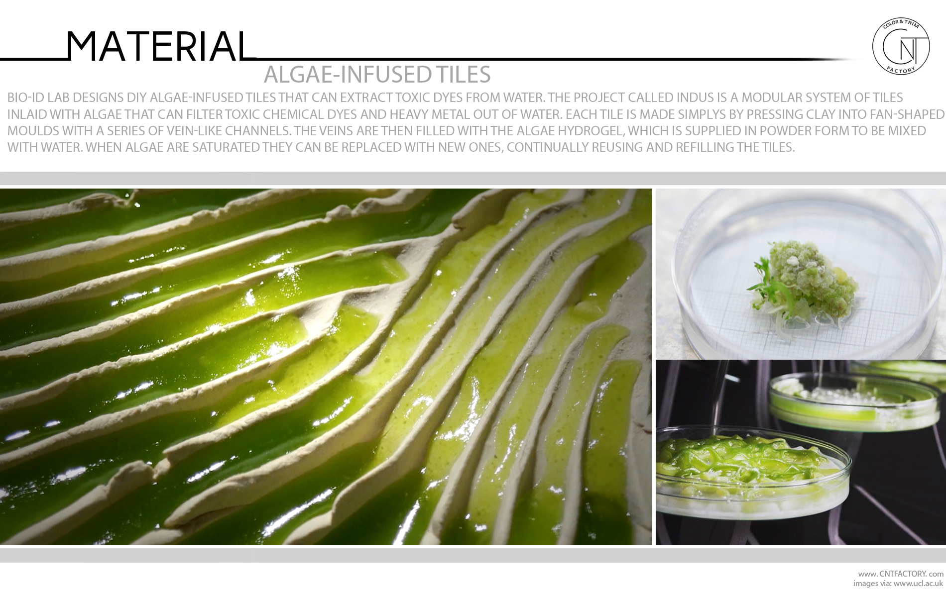 Algae Infused Tiles Automotive Color Trim Trends Design