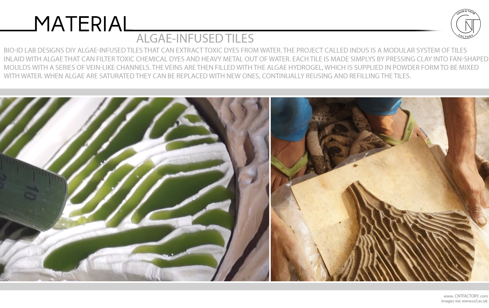 Algae Infused Tiles Automotive Color Trim Trends Design