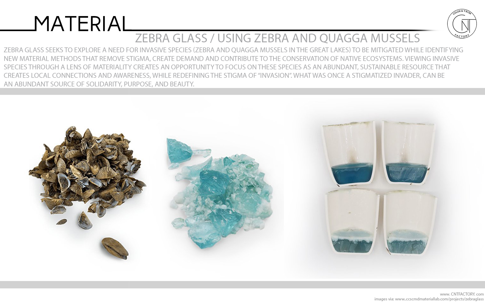 Zebra Glass Using Zebra Quagga Mussels Automotive Color Trim