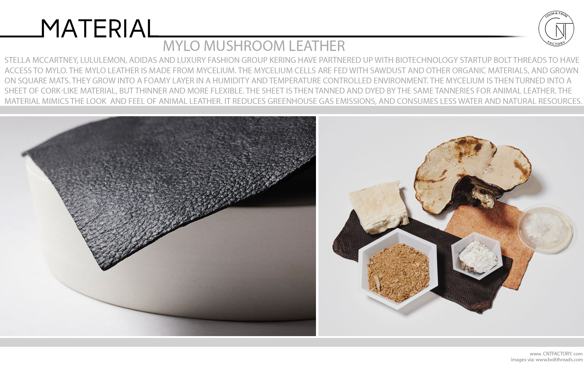 Mylo Mushroom Leather Automotive Color Materials Trim Trends